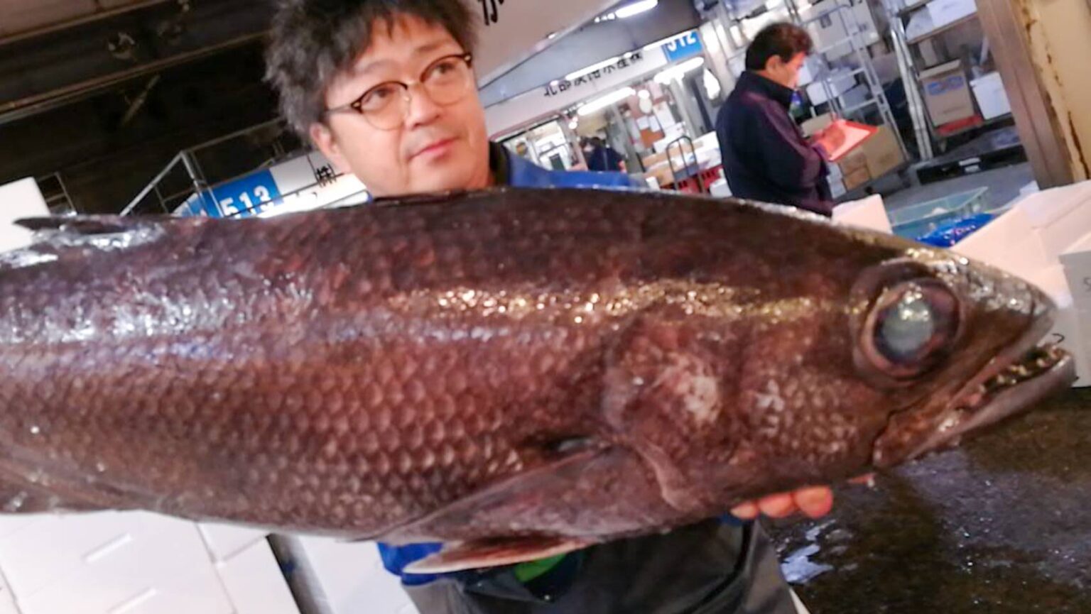 【旬の魚】くろむつ~生命力に満ちあふれたワイルドな旨さ！ | さかなの仕入れ屋|大阪で美味しい魚を安く仕入れる